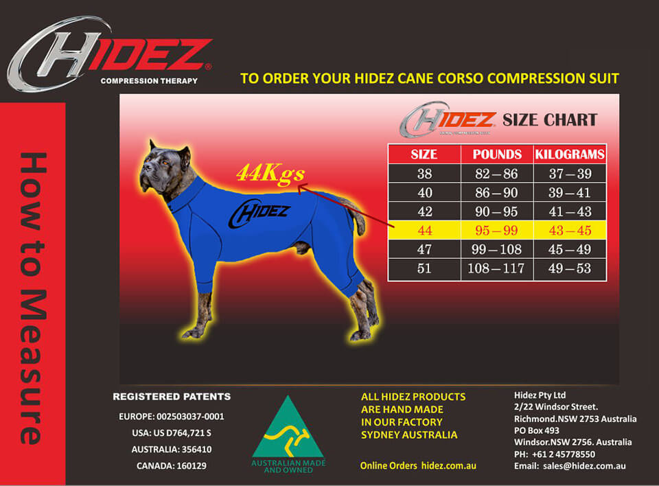 Cane Corso Size Chart