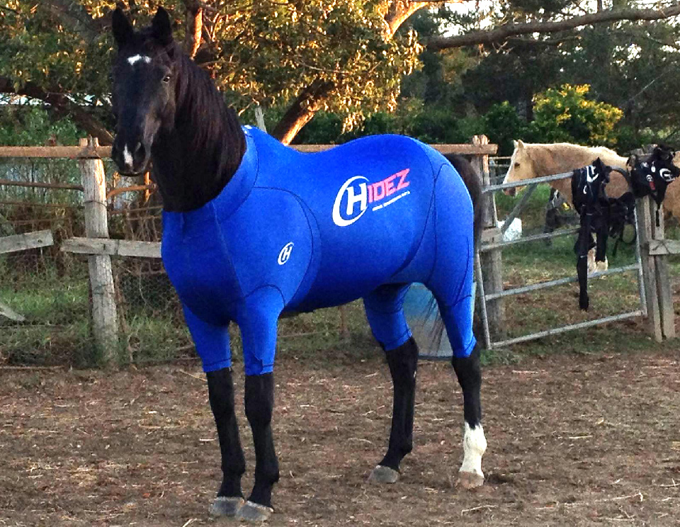 Hidez Photo Active Suit Blue