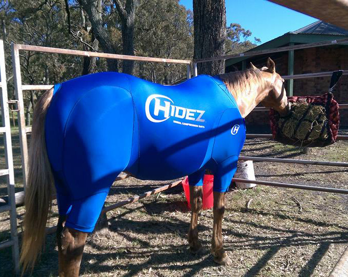 Hidez Photo Active Suit Merrick Ubank Showjumping