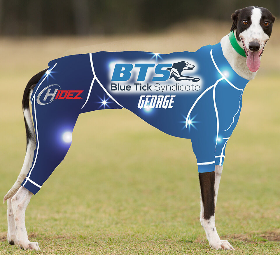 Racing Greyhound Customised Logo suits
