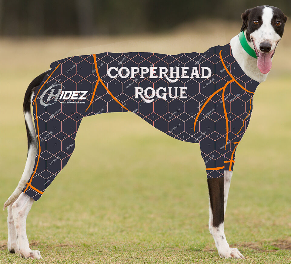 Racing Greyhound Customised Logo suits